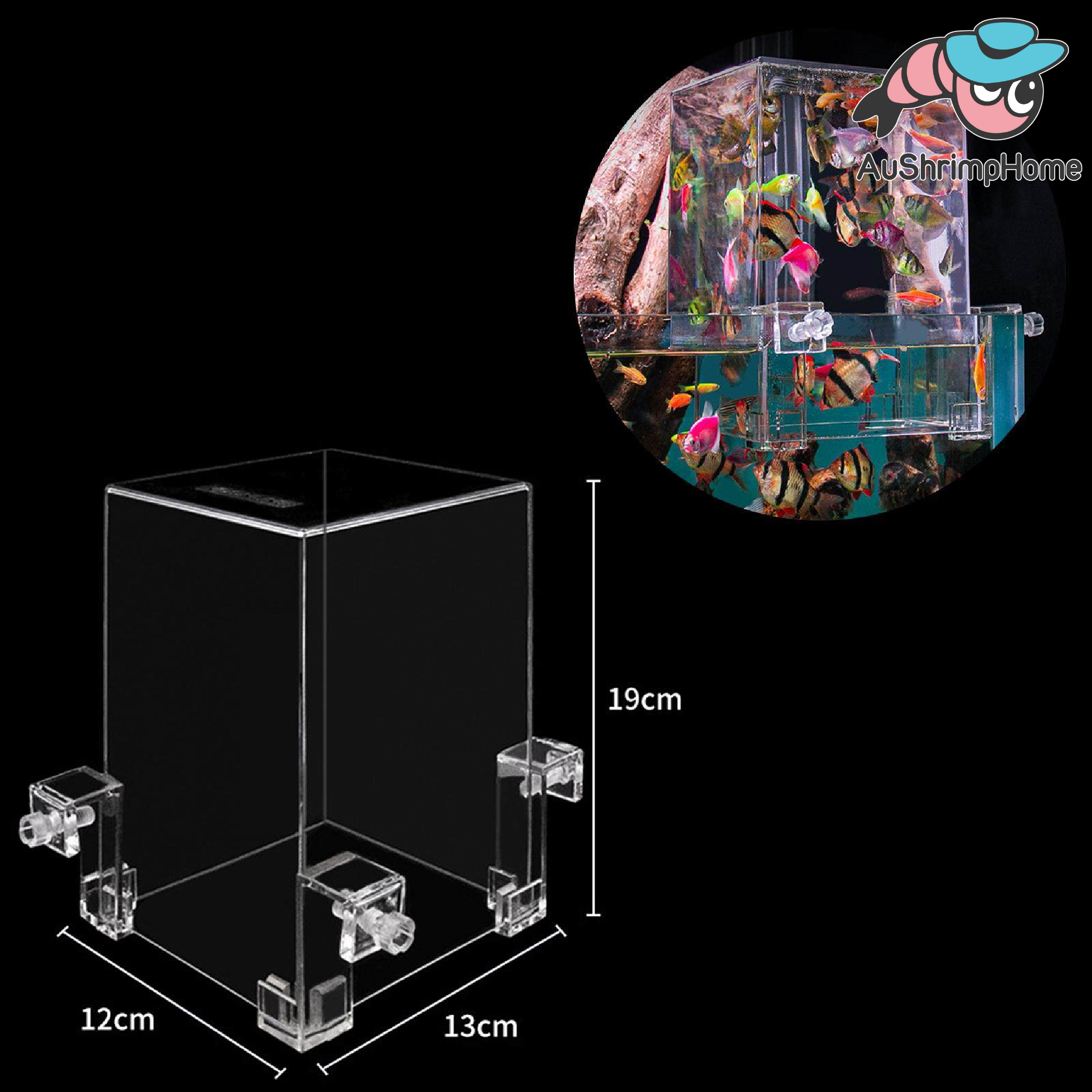 Negative Pressure Shrimp/Fish Tank| Fish Elevator for SALE ...