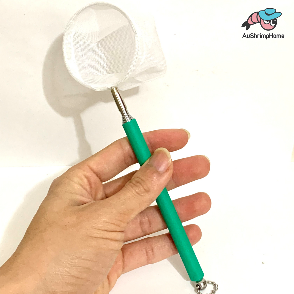 Shrimp Net 3D Round | Aquarium Shrimp Net | AuShrimpHome – Australia ...